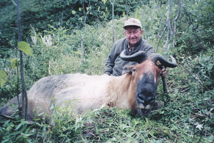 Sichuan Takin | Big Game Hunting Records - Safari Club International ...