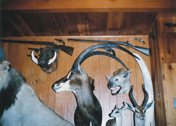 Roosevelt Sable Antelope | Big Game Hunting Records - Safari Club ...