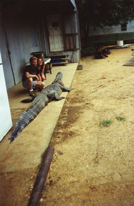 American Alligator | Big Game Hunting Records - Safari Club ...