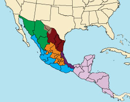 Central American White-tailed Deer | Big Game Hunting Records - Safari ...