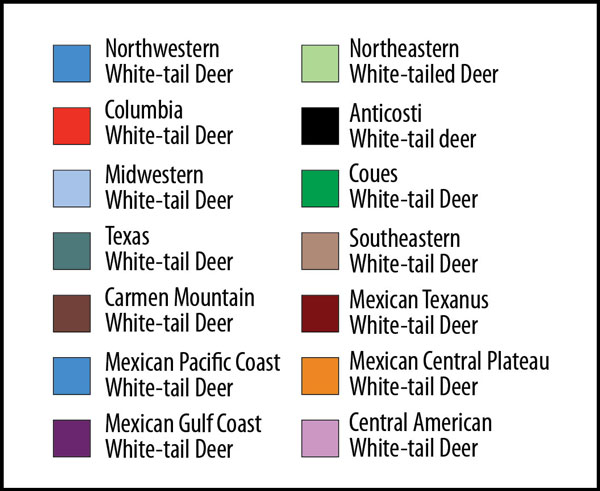Northeastern White-tailed Deer | Big Game Hunting Records - Safari Club ...